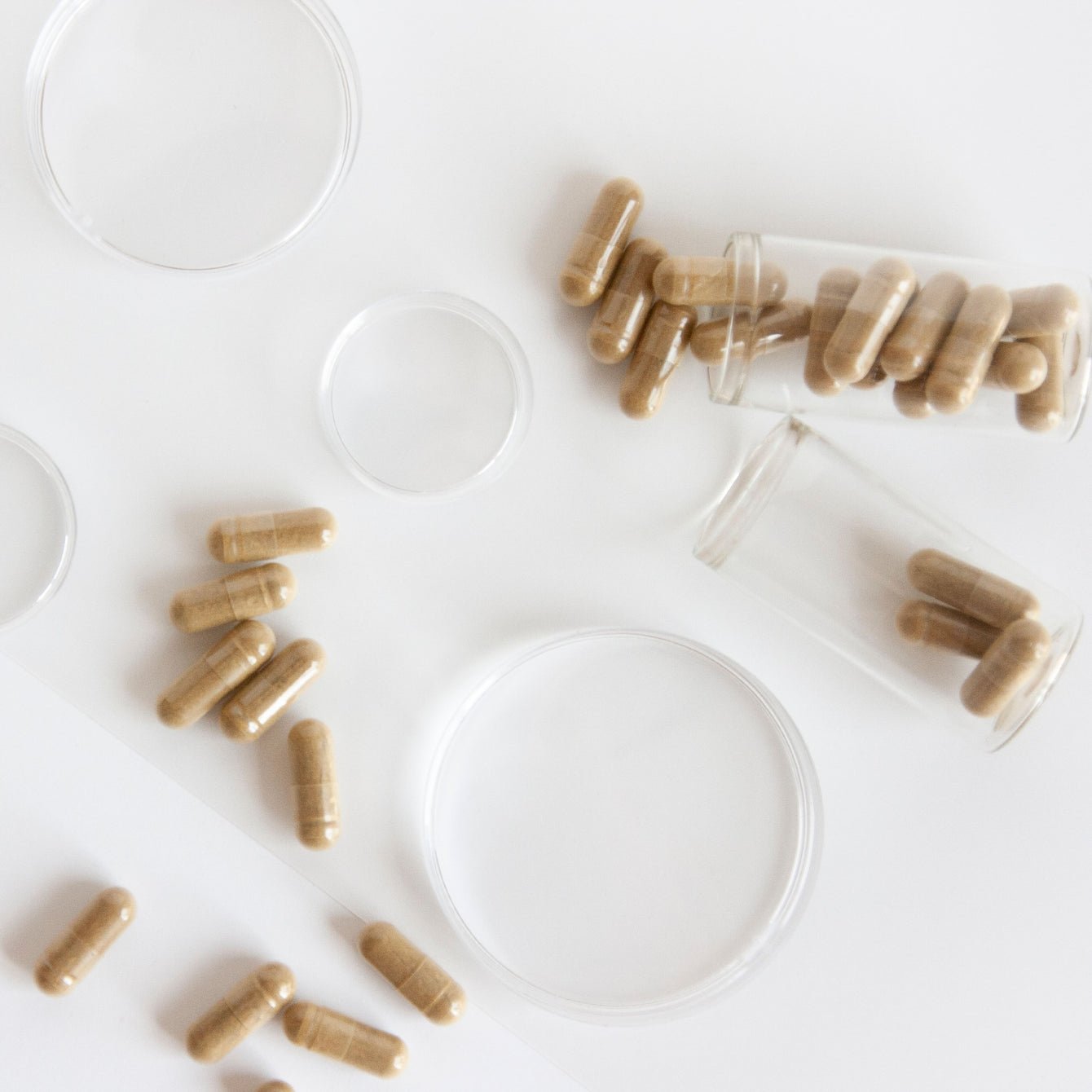 VitalNatal Man | IVB Wellness Lab